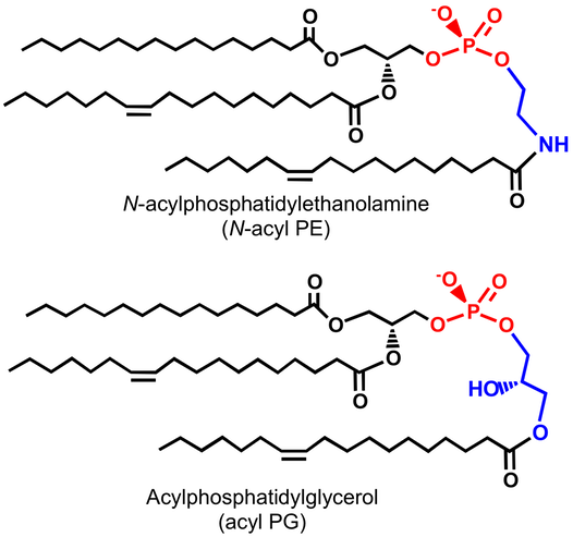 Research: Teresa Garrett